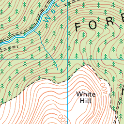 Glen Tanar pinewood, near Aboyne - Route Map