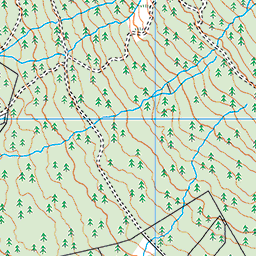 Fassfern Forest walks - Route Map